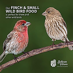 Schoen Farms Finch & Small Wild Bird Seed Food Mix (5 LBS)