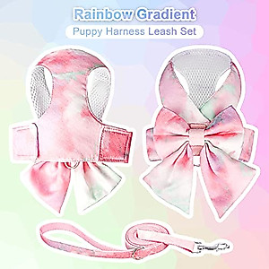 PETCARE Cute Bow Tie Dog Harness and Leash Set Elegant Rainbow Gradient Puppy Harness No Pull Soft Mesh Pet Cat Dog Vest Harnesses for Small Dogs Cats, Pink