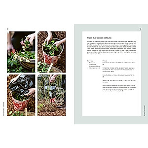 Sustainable Garden: Projects, insights and advice for the eco-conscious gardener (Sustainable Living Series, 4)