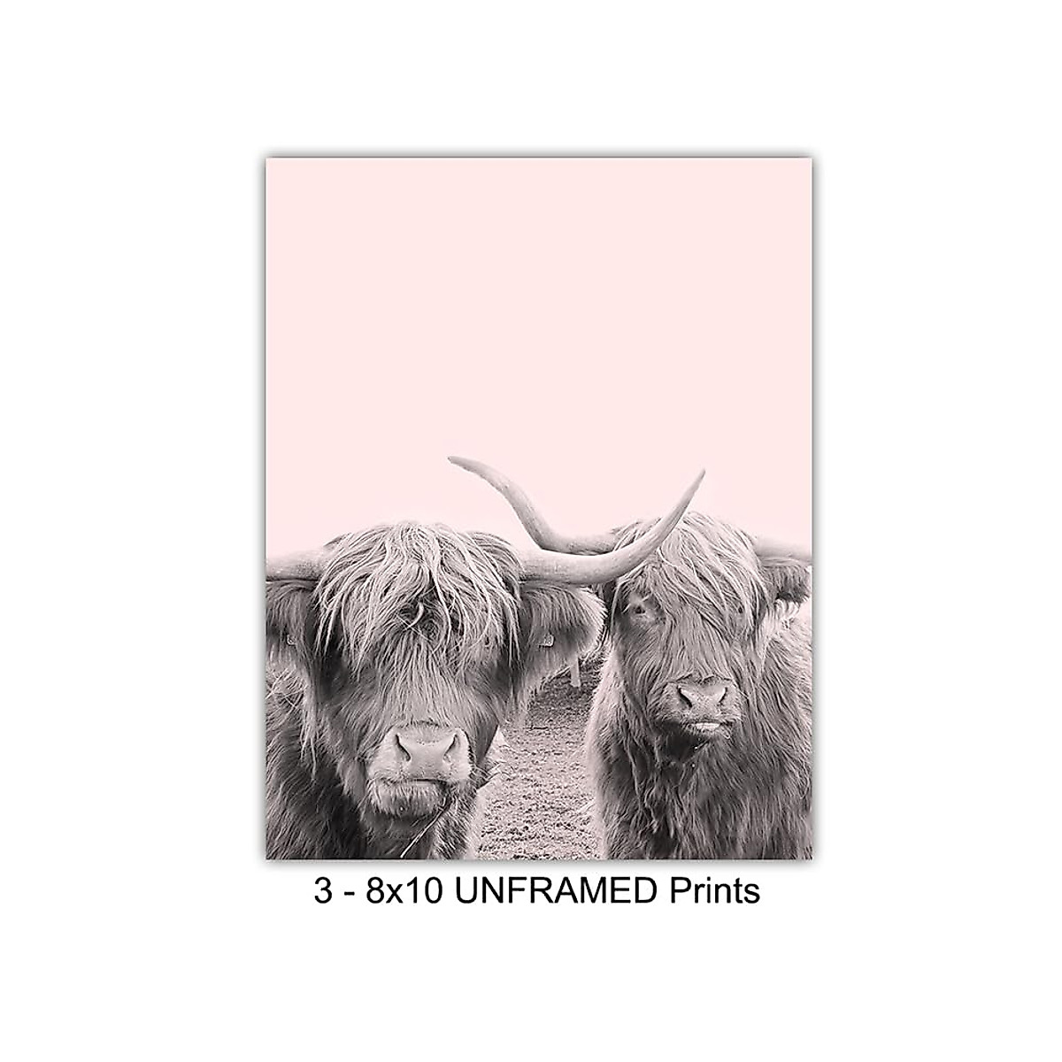 Cow Wall Decor - Cow Decorations for Home, Kitchen, Bathroom, Bedroom, Living Room, Apartment, Office - Highland Cow Gift for Women - Cute Unique Boho Cow Wall Art - 8x10 Pink Photo Picture Set