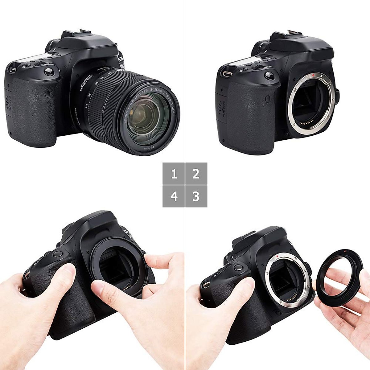58mm Macro Lens Reverse Ring Adapter for Canon EOS Rebel T6 T7 T5 SL3 SL2 T8i T7i T6i T6s T5i 2000D 4000D 90D 80D 70D with EF-S 18-55mm Kit Lens & More Canon DSLR Cameras with 58mm Filter Thread Lens