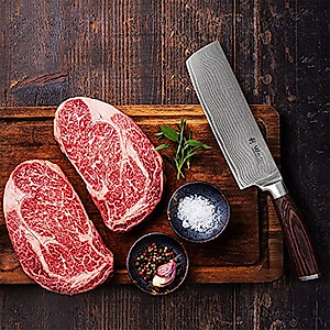 Wakoli Edib Damascus Knife Nakiri with Sharp 6.8 Inch Blade made of 67 Layers Steel with VG10 Core I Professional Kitchen Knife made of Genuine Damascus Steel with Pakka Wood Handle