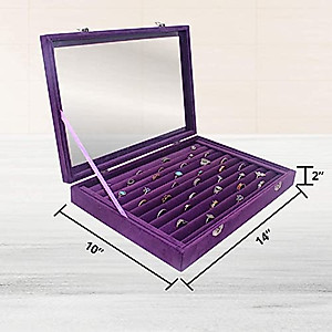 Ring Organizer Display Case ~ 11 Rows Multiple Ring Holder ~ Jewelry Tray Organizer With Studs ~ Ring & Earring Holder Storage Box For Shows With Transparent Lid (Purple)