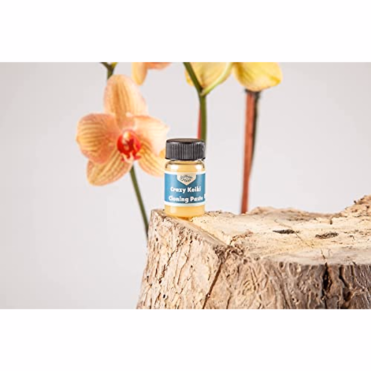 Southside Plants Keiki Cloning Paste - Natural Miracle Growth & Food Formula for Orchid Plants Hormones & Vitamins - Includes Instruction Booklet | 0.25oz