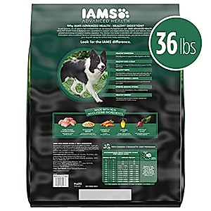 IAMS Advanced Health Adult Healthy Digestion Dry Dog Food with Real Chicken, 36 lb. Bag