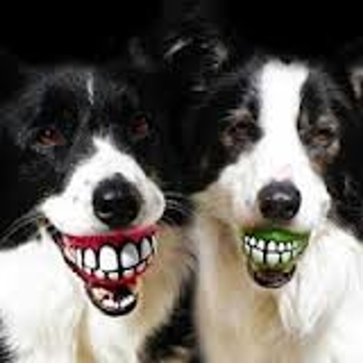 Rogz Fun Dog Treat Ball in various sizes and colors, Small, Pink