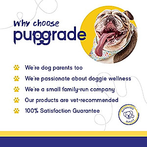 PupGrade Digestive Support Chews for Dogs - Upset Stomach, Diarrhea, Bowel, & Immune Support - Supplement with Probiotics, Prebiotics, Enzymes - Pumpkin, Blueberry, Mineral Oil - 60 Soft Chews