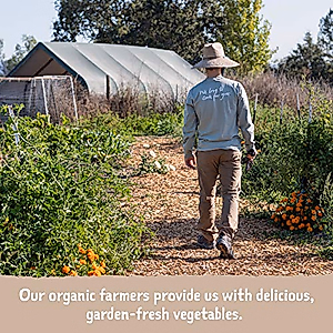 Amy’s Soup, Vegan Vegetable Barley Soup, Low Fat, Made With Organic Tomatoes, Carrots and Celery, Canned Soup, 14.1 Oz