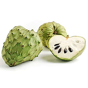 QAUZUY GARDEN 5 Seeds Cherimoya Custard Apple Seeds Annona Cherimola - Organic Delicious Sweet Juicy White Fleshed Tropical Exotic Fruit - Easy Grow & Harvest