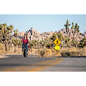 EMOJO RAM SS Street 750W Folding Electric Road Bike for Adults 20 Inch Fat Tire Outdoor E Bike with 48V 10Ah Lithium Battery 20MPH 30 Miles Pedal Assist E Bicycle 7 Speed and LCD Display (Black)