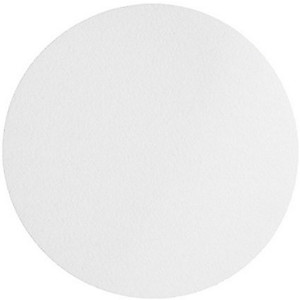 Omicron 133047 Borosilicate Glass Fiber Binder Free Filter, 1.2 μm, 47 mm (Pack of 100)