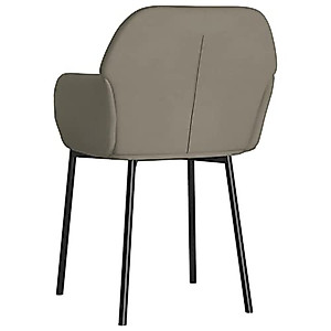 vidaXL Dining Chairs 2 pcs Light Gray Velvet
