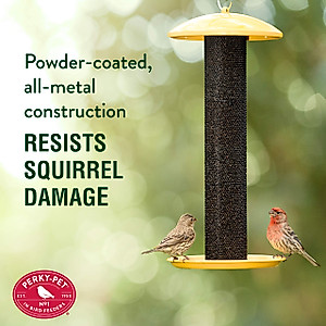 Perky-Pet YSSF00346-2 Straight-Sided Thistle Seed Wire Mesh Tube Finch Bird Feeder