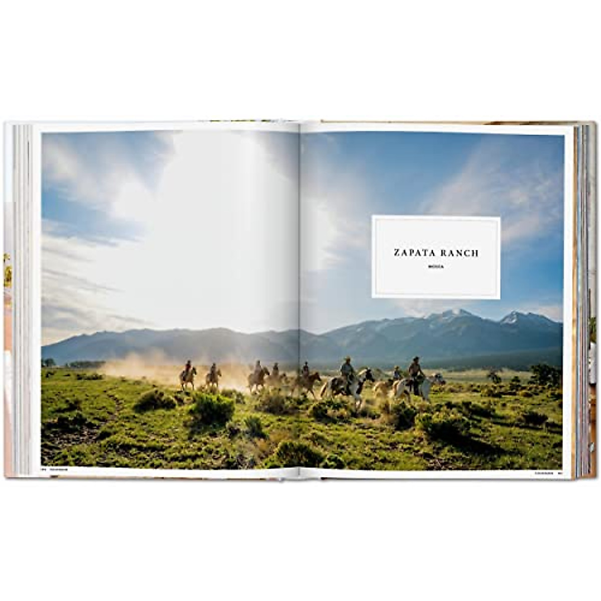 Great Escapes USA: The Hotel Book