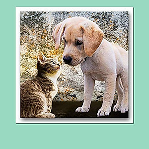 Hamilco White Cardstock Scrapbook Paper 12x12 Heavy Weight 120 lb Cover Card Stock – 25 Pack