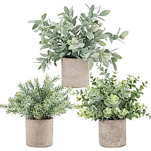 Der Rose 3 Pack Mini Potted Fake Plants Artificial Plastic Eucalyptus Plants for Home Office Desk Farmhouse Room Decor