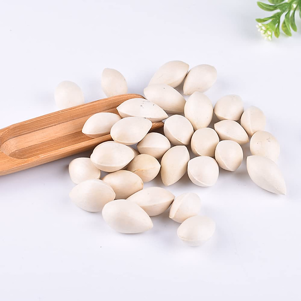 Dired Bai Guo Ginkgo Fruit Yin Xing,Ginkgo Biloba Whitenut Ginkgo Nuts Bai Guo Semen Ginkgo Ginko Nut Ginkgo Semen (250 g(0.55 lbs))
