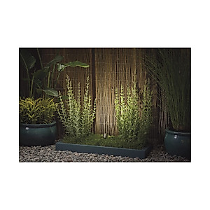 Kichler 15711SS 2-in-1 LED Accent, Stainless Steel