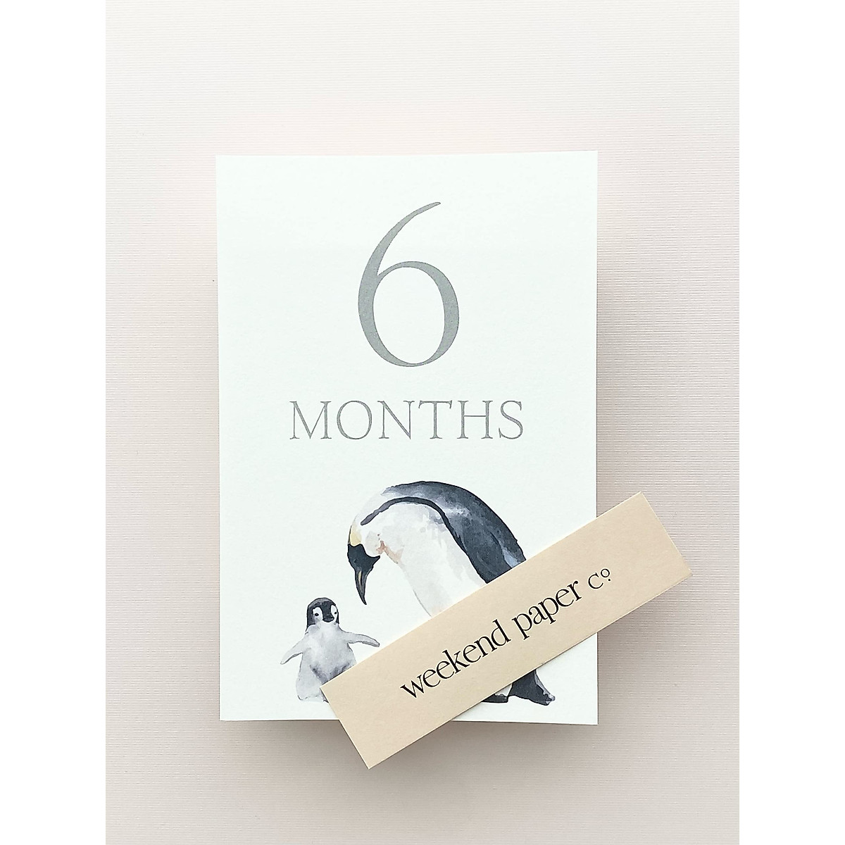 Weekend Paper Co.™ Baby Animals Milestone Cards, baby monthly marker for an expecting mother or new mother, baby gifts or shower registry.