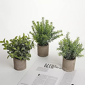 VaryFloral 3 Packs Small Fake Plants Artificial Potted Plants Set Realistic Eucalyptus Rosemary Mini Faux Greenery Potted Artificial Plants for Decoration for Home Décor Shelf Table Bathroom Indoor