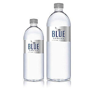 Blue Spring Living Water, Pure Premium Natural Spring Water, pH balance of 7.1-7.2, Bottled Spring Water, 16.9 Fl Oz, (Pack of 12)