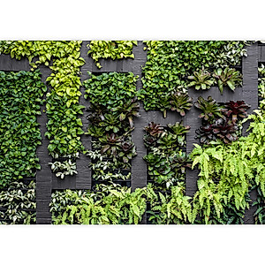 wall26 Wall Mural Garden Lawn Green Grass Natural Scenery Removable Self-Adhesive Large Wallpaper - 100x144 inches