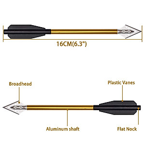 Bow and arrow college Mini Crossbow Bolts Miniature Crossbows Arrows Gold Aluminum Body with Screw Tip Broadhead(Pack of 3)