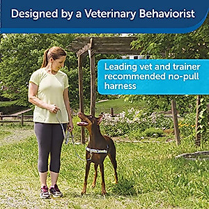 PetSafe EWH-C-HC-S-POP Easy Walk Chic Harness, Small, Poppies