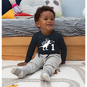 rawr im 1 Dinosaur First Birthday boy Outfit 1st Roar one Year Old Dino Shirt rex (Charcoal Black - Long Sleeve, 12 Months)
