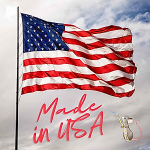 Mouse Reading Book, Wall Decor Sticker Decal, Kids Room, Classroom, Home, Bedroom, Bookcase, Book Lover, of Mice and Men, Children, Adorable, (Mouse Praying)