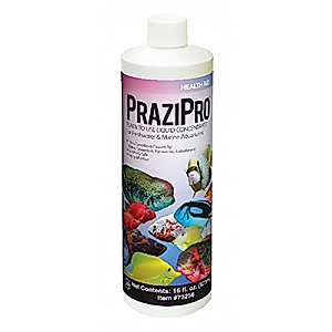 Hikari Prazipro 16oz