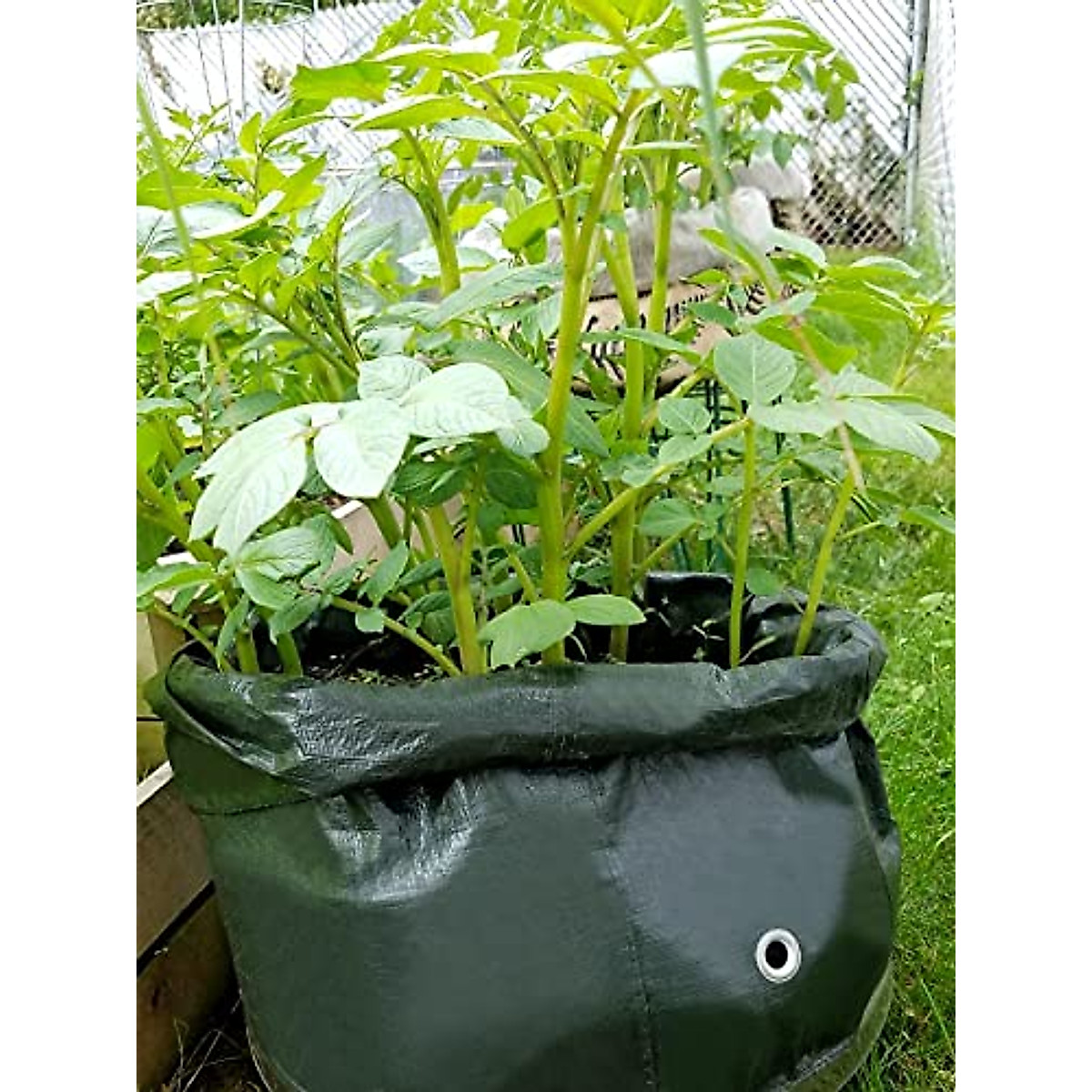 4 Pack 10 Gallon Garden Potato Grow Bags with Flap and Handles Aeration Fabric Pots Heavy Duty Vegetable Planter Bag for Tomato, Fruits