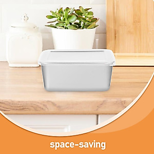 BESTonZON 4pack Stainless Steel Square Boxes, Stainless Steel Food Storage Box Container with Leak Plastic Lid, Food Storage Containers for Fruit Vegetables Snack Food, Dishwasher Safe