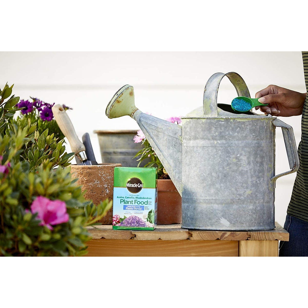 MIRACLE GRO ACID 1.5#