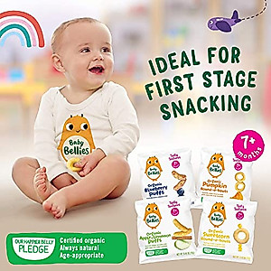 Little Bellies Organic Strawberry Pick-Me Sticks, Baby Snack, (Pack of 5)