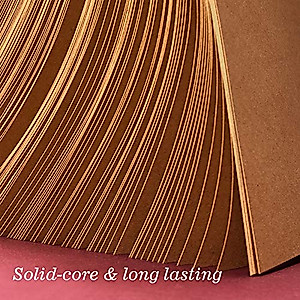 COLOURFUL US Heavyweight Brown Kraft Cardstock, 100 Sheets 300 GSM (110 lb. Cover) 8.5 x 11 inches for Arts and Craft, Drawing, DIY Projects