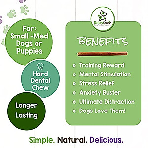 Nature Gnaws Small Bully Sticks for Dogs - Premium Natural Beef Bones - Thin Long Lasting Dog Chew Treats for Light Chewers & Puppies - Rawhide Free - 6 Inch (5 Count)