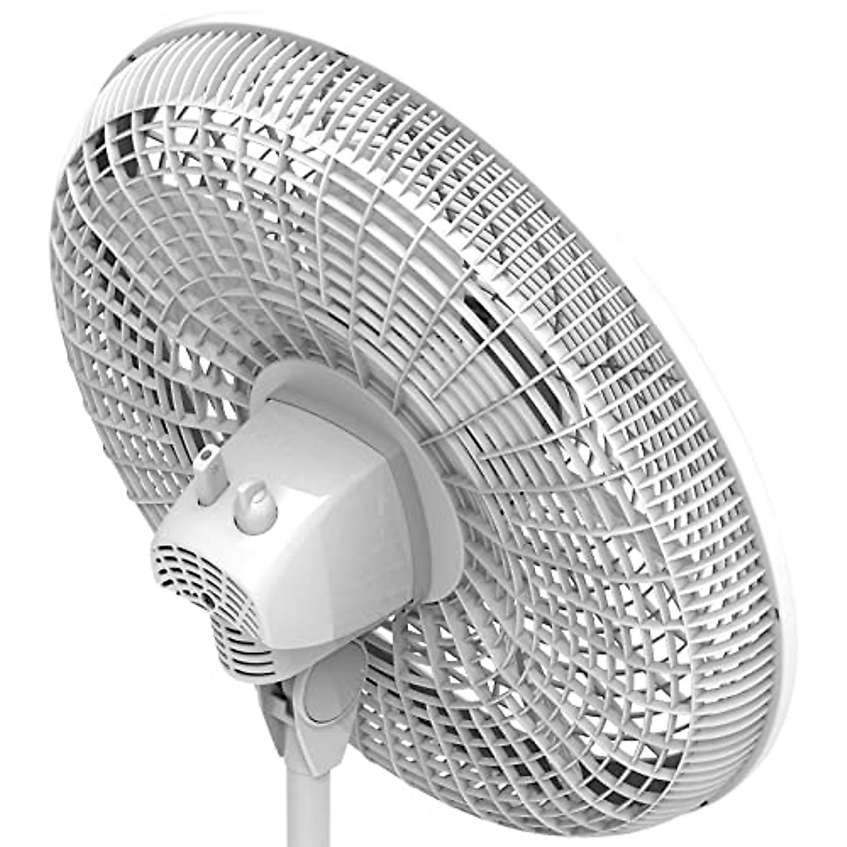 Lasko Oscillating Pedestal Fan, Adjustable Height, 3 Speeds, for Bedroom, Living Room, Home Office and College Dorm Room, 18", White, 1820