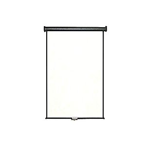 CFS Products Retractable White Photo ID Backdrop for Passport Photos (Wall/Ceiling)