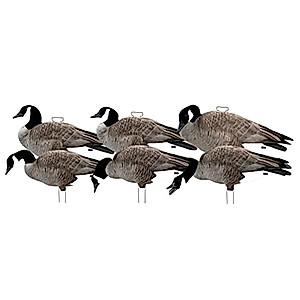 Avery PG Silhouette Decoys-Canada Goose 77004
