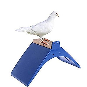 POPETPOP 5Pcs Pigeon Perches Practical Dove Rest Stand Durable Pigeon Cage Stand Pigeon Supplies for Home Pigeon Bird Parrot 23 x 11 x 11.8 cm