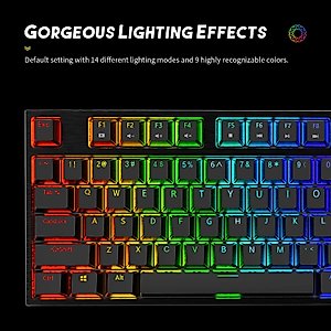 PC Gaming Keyboards RGB Backlit Mechanical Keyboard ABS keycap Programmable Macro Detachable USB Wired Keyboard for Windows PC（104 Keys Blue Switch