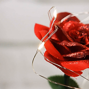 URBANSEASONS Beauty and The Beast Rose Flowers,Women Gifts Idea Birthday, Unique Gifts for Her,Anniversary Rose Gift Decorations Artificial Flower Gift Romantic Red Silk Rose, Flower in Glass Dome