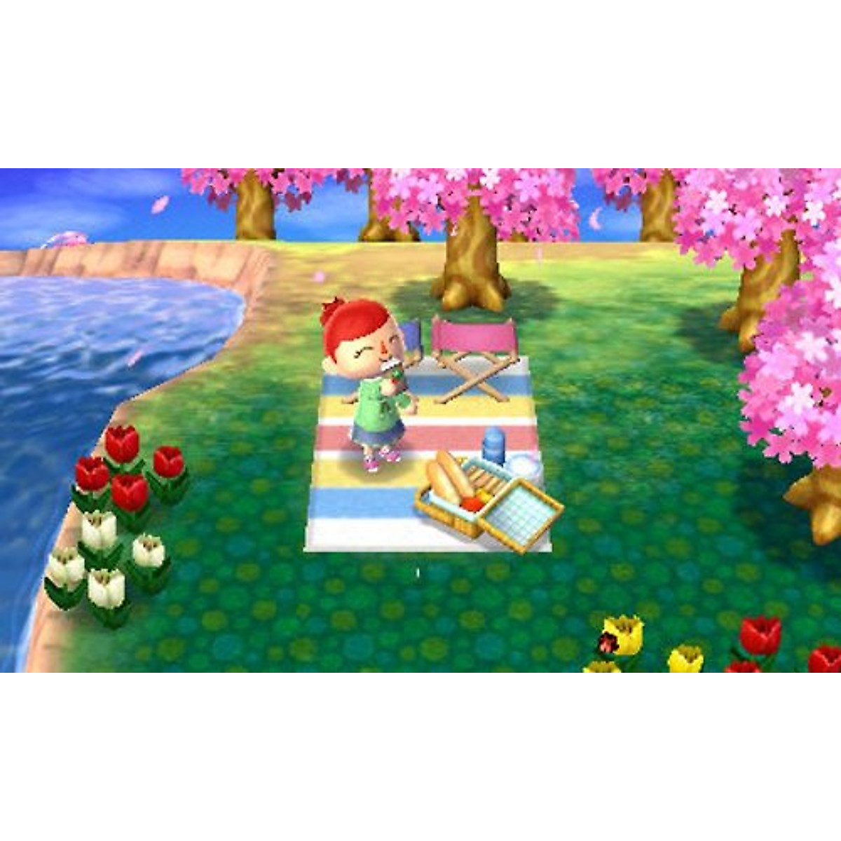 Tobidase Doubutsu no Mori [Japan Import]