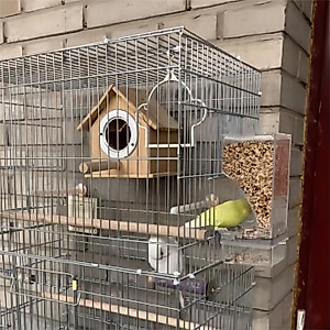 Baeluny No Mess Automatic Bird Feeders Transparent Parakeet Food Seed Feeders Acrylic Parrot Food Container Accessories Suitable for Parrot Cockatoo Canary Lovebird and Small Birds