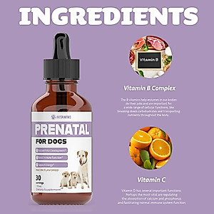 Dog Prenatal Vitamins | Prenatal Vitamins for Dogs | Includes Vitamin B Complex & Vitamin C | Dog Essentials | Whelping Supplies | Prenatal Dog Vitamins | Prenatal for Dogs | 1 Pack: 30 Servings
