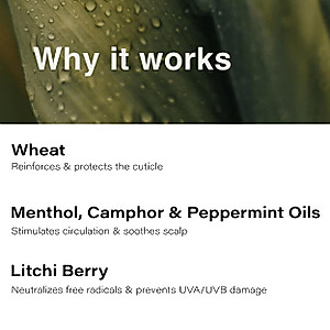 Eufora Nourish Urgent Repair Shampoo 8.45 Fl Oz