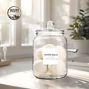 Mustry Glass Jars for Laundry Room Organization, 0.5 Gallon One Hand Easy Open Laundry Jars with Lids (Set of 2)