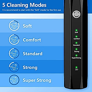 Ni-SHEN Dog Plaque Remover for Teeth，Pet Ultrasonic Tooth Cleaner Toothbrush，Teeth Cleaning Kit -Tartar Remover for Teeth Stains for Dogs and Cats (Black)