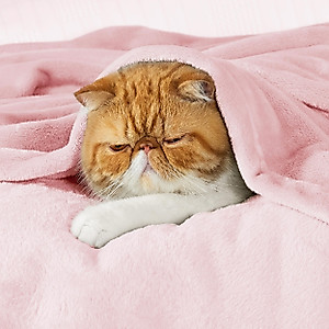 Bedsure Fleece Blanket Throw Blanket Pink - 300GSM Throw Blankets for Couch, Sofa, Bed, Soft Lightweight Plush Cozy Blankets and Throws for Toddlers, Girls